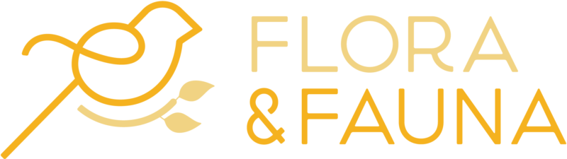 Portfolio | Tangerine Developments